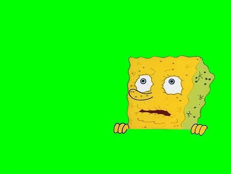 Spongebob Screaming I Need It Meme Spongebob Squarpants Green Sc Creatorset