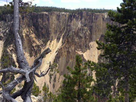Yellowstone National Park 31 July Shoshone National Forest Rex Hale