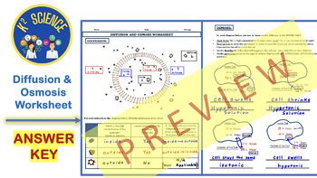Diffusion Osmosis Worksheet Cellular Transport Activity With Answer Key