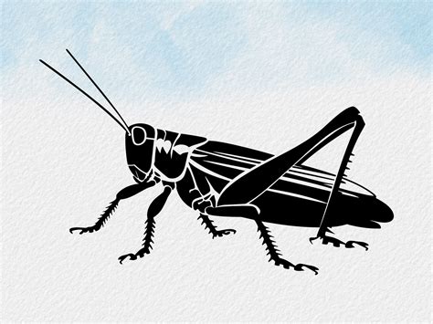 Grasshopper Silhouette Vector Graphic By Art Merch X · Creative Fabrica