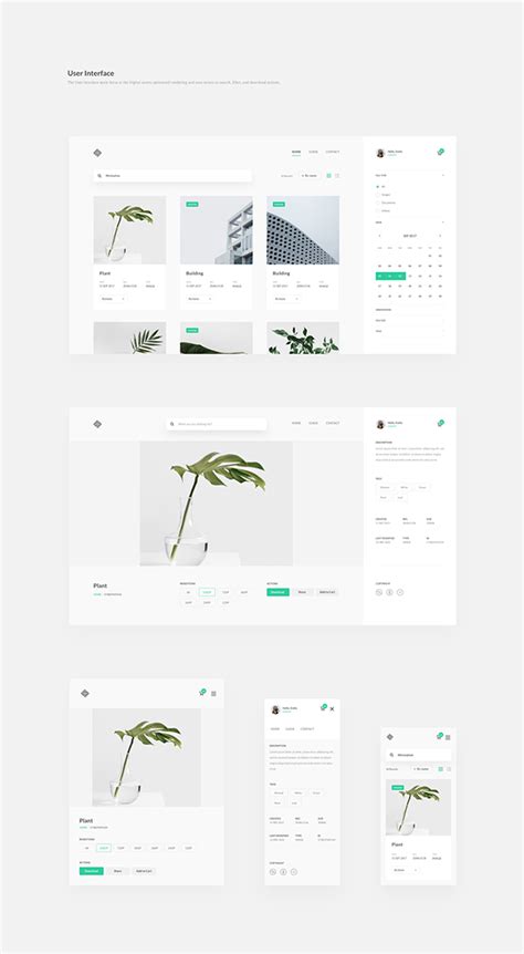 Assets Manager Behance