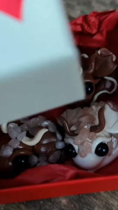 They Fit So Perfectly In The Box🥺 ️ Youtube