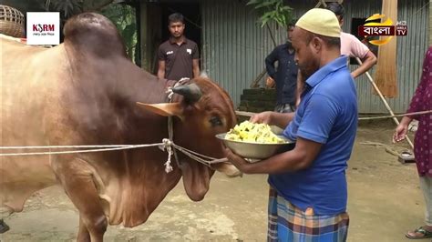 ময়মনসিংহের কোরবানির হাট মাতাবে লালু মাস্তান ও কালো মানিক Bangla Tv
