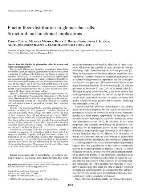 Pdf F Actin Fiber Distribution In Glomerular Cells Structural And