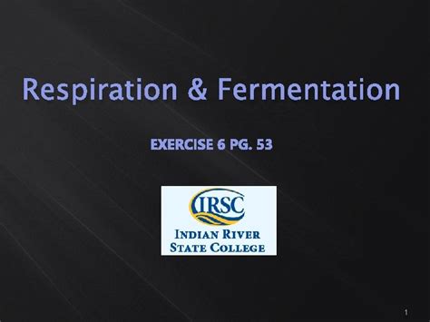 Respiration Fermentation Exercise 6 Pg 53 1 What