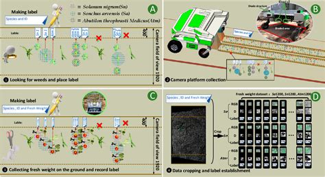 Figure 1 From Two Stream Dense Feature Fusion Network Based On Rgb D Data For The Real Time