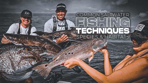 Common Saltwater Fishing Species And Habitats Landed Fishing