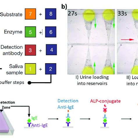 Bioanalytical Applications Of 3d Capillary Driven Microfluidics A