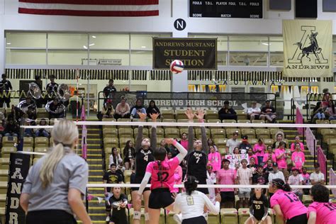 Volleyball Seminole Sentinel