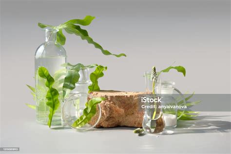 천연 녹색 실험실 벽돌 연단 제품을위한 공간 추상적인 꽃꽂이 물에 왜곡 된 잎의 반사 투명 유리 바이알 항아리 페트리 요리에