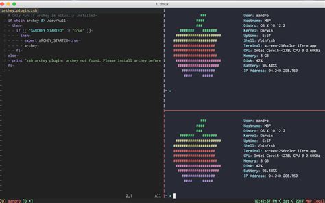 Zsh Detect If Its Tmux Window Or Pane Stack Overflow