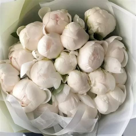 Белые ароматные пионы (Голландия) по цене 7290 руб - купить в Москве с ...
