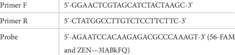 Lacticaseibacillus Paracasei 87002 Strain Specific Primer And Probe