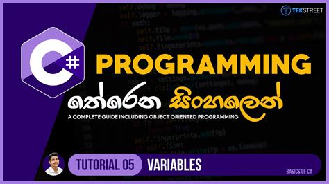 C Sinhala Tutorial 05 Variables Programming Sinhala Techstreet