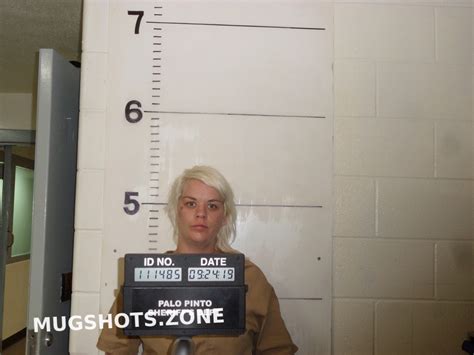 Sigler Holly Anne 04262021 Palo Pinto County Mugshots Zone