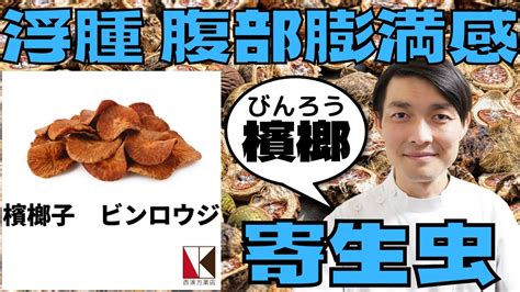 漢方檳榔子ビンロウジ1分で分かる生薬解説 YouTube