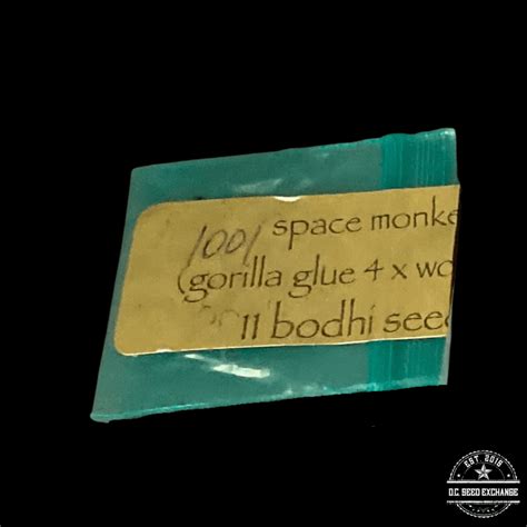 Space Monkey Archives Dcse