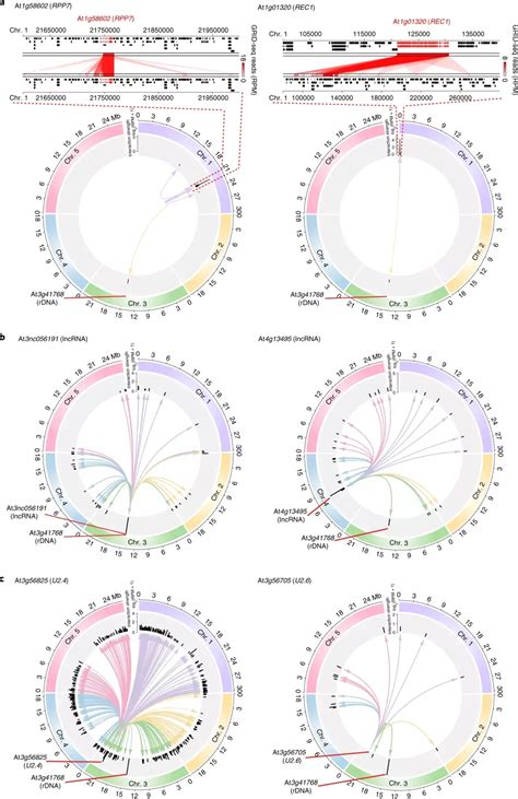 Nature Plants 戚益军 付向东团队揭示拟南芥响应生物和非生物胁迫的共调控基因表达网络 知乎