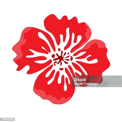 흰색 배경에 고립 된 추상적 인 빨간 양귀비 흰색으로 격리된 벡터 그림 양귀비 식물에 대한 스톡 벡터 아트 및 기타 이미지