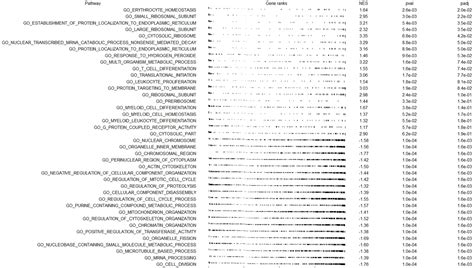 Fgsea P Values Are Mostly The Same Upon Analysis