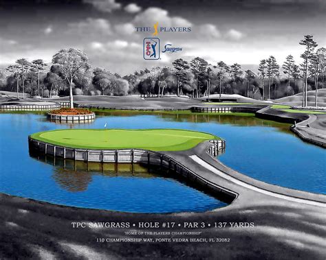 Tpc Sawgrass Hole 17 Digital Art By Bob Wood