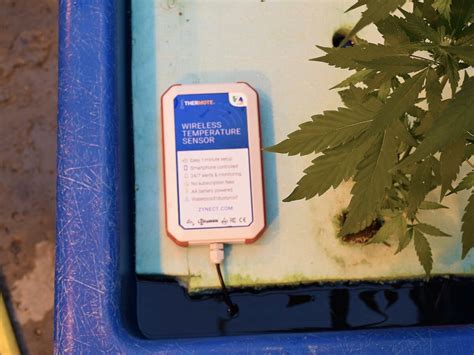 This Wireless Temperature Sensor Offers Durability Wi Fi Connectivity