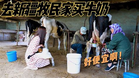 拖挂房车自驾新疆，美女去当地牧民家买现挤牛奶！鲜奶好便宜啊！【k米侠侣漫游记】 Youtube