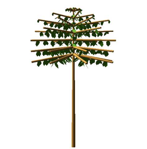 Quantitative Plant L Py