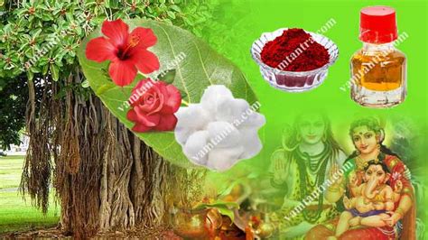 Kulik Kaal Sarp Dosh Remediesrahu In 2nd House And Ketu In 8th House