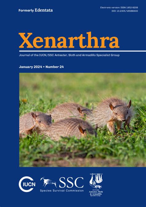 Xenarthra Fotka „armadillos Are New World Placental Mammal With A