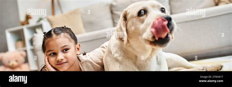 Elementary Age Girl In Casual Attire Lying On Carpet With Labrador In