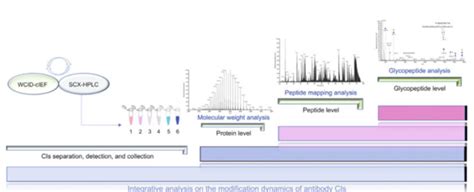 Application Notes Isogen Lifescience