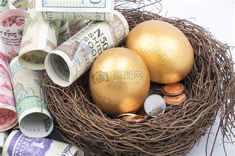 金钱财富金蛋概念高清图片下载 正版图片500209099 摄图网