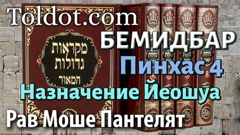 Пинхас 4 книга Бемидбар Недельные главы Торы 263 рав Моше Пантелят Youtube