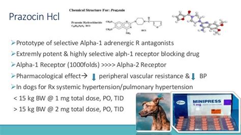 Adrenergic Agonists And Antagonists In Veterinary Medicine