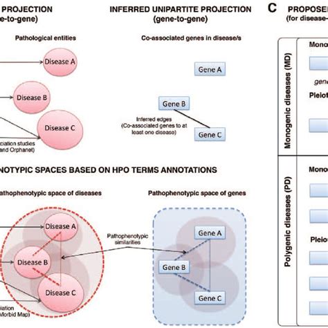 Schematic Representation Of Distinct Disease To Gene Relationships Download Scientific Diagram