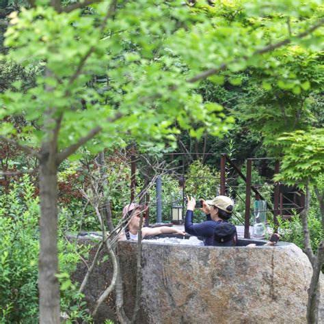 제천 리솜 포레스트 스파 해브나인 예약 가격 할인 꿀팁 And 온천여행 힐링 후기 네이버 블로그