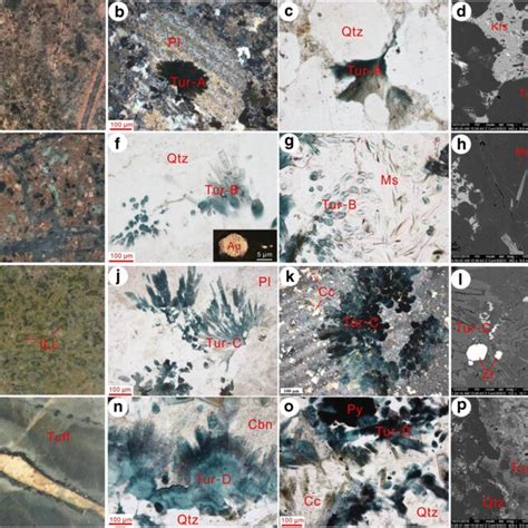Classification Diagrams For Tourmalines From Bilihe Deposit Also Shown Download Scientific