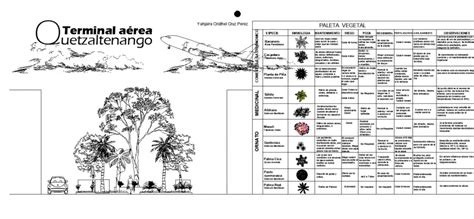 Project Of Landscaping Design In Dwg File Landscape Design Landscape Detailed Drawings