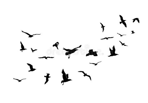 Una Multitud De Los P Jaros De Vuelo Ilustraci N Del Vector Aislado En