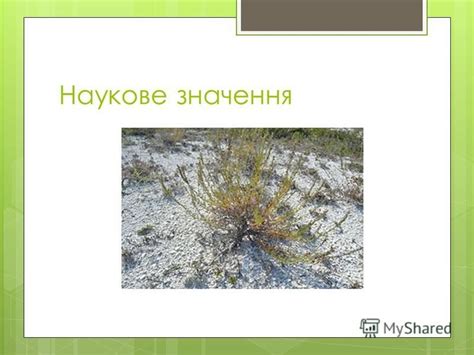 Презентация на тему Національні природні парки Харківської області
