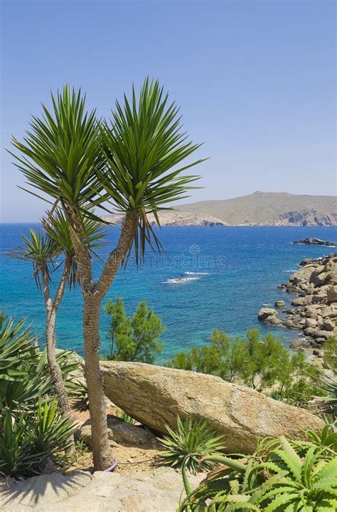 Garden With Shrubs Flowers And Trees In The Sea Stock Photo Image Of Panoramic Blue 14242332