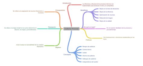 Auditoría Procesal Coggle Diagram
