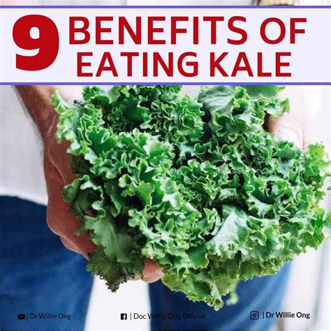 9 Benefits Of Eating Kale Doc Willie Ong