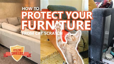 How To Protect Your Couch From Cat Scratch The Best Product To Stop