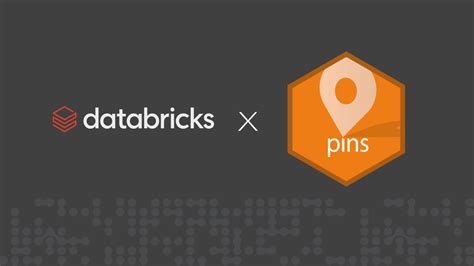 Pins In Databricks Posit