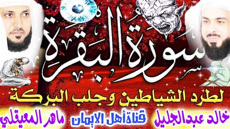 سورة البقرة كاملة مكررة لطرد الشياطين والجن والسحر الشيخ ماهر المعيقلي