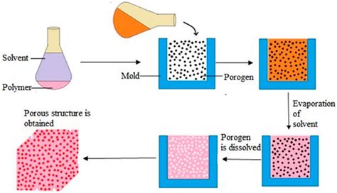 Overview Of The Solvent Casting And Particulate Leaching Process [161] Download Scientific
