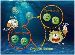 Environmental Science Nano X Mol
