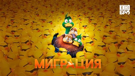Миграция Migration 2023 — Видео от КИНОБРО ВКонтакте